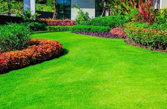Gypsum | Gypsum for Soil | Agricultural Gypsum